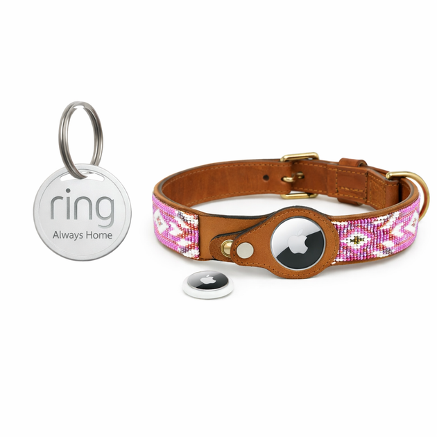 Ring Pet Tag Explained and How to Build a Complete Dog Safety Setup ...