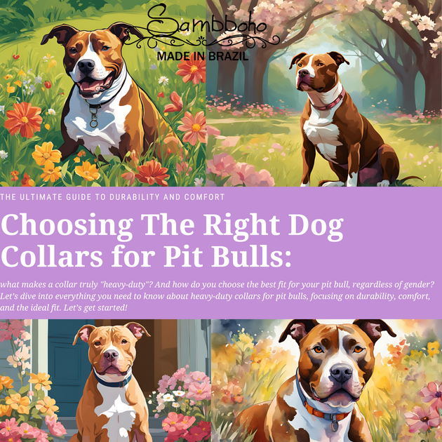 Choosing The Right Dog Collars for Pit Bulls: The Ultimate Guide to Du ...