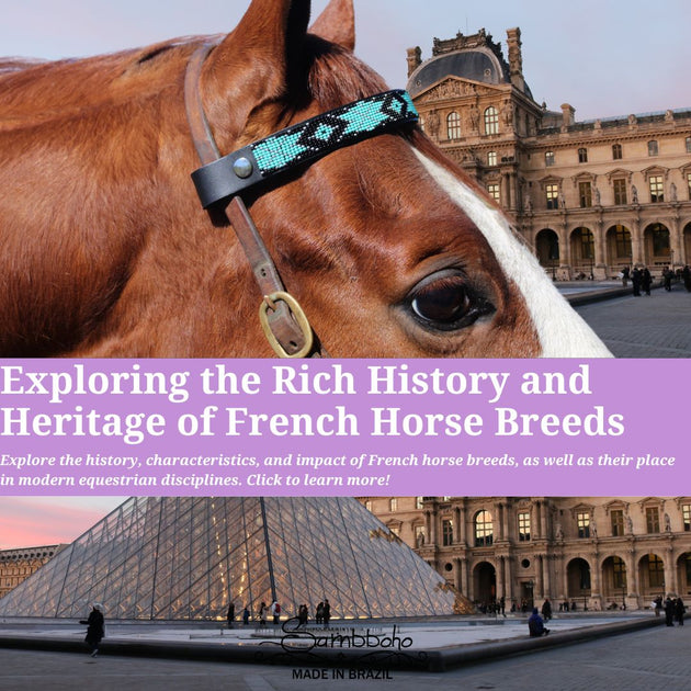 Exploring the Rich History and Heritage of French Horse Breeds – Sambboho