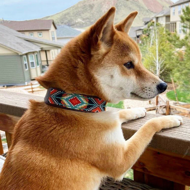 Best Dog Collar for a Shiba Inu: Secure, Stylish & Handcrafted – Sambboho
