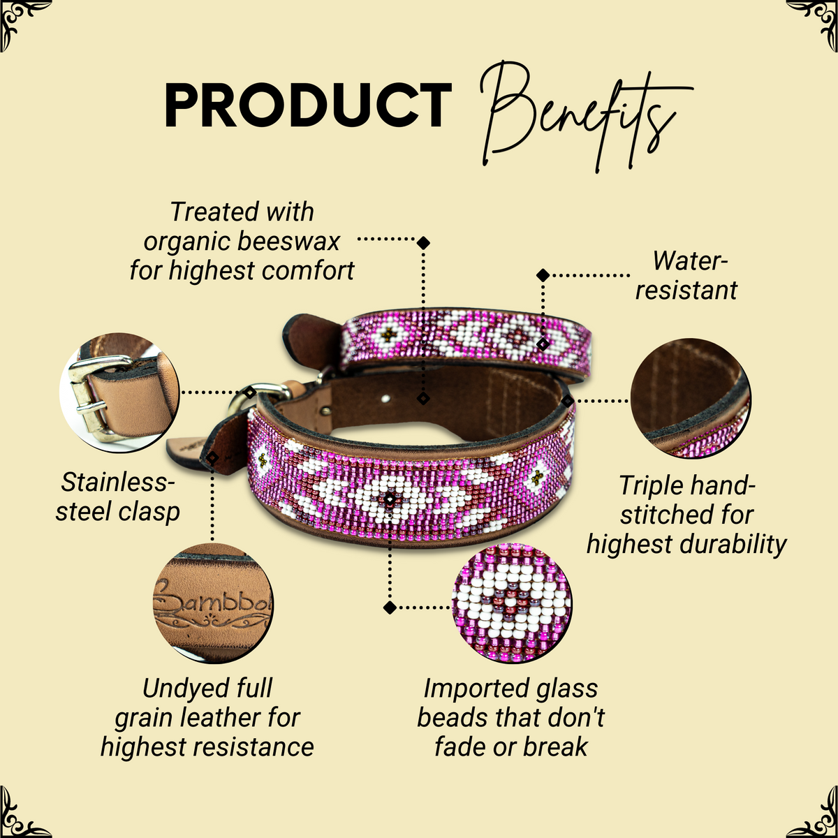 Melrose Sambboho dog collar (Deluxe Edition)