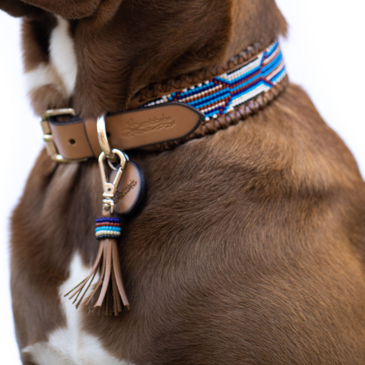 Rio Dog Collar and Tassel Bundle – Sambboho